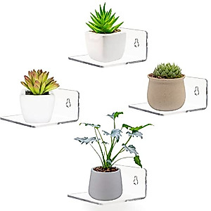 Acrylic Small Adhesive Wall Shelves,Mini Floating Shelves,Acrylic Display Shelves,Ledges for Pop Figures,Plant,Picture Photo Modern Wall for Bedroom Decor Living Room Wall Mounted - Clear