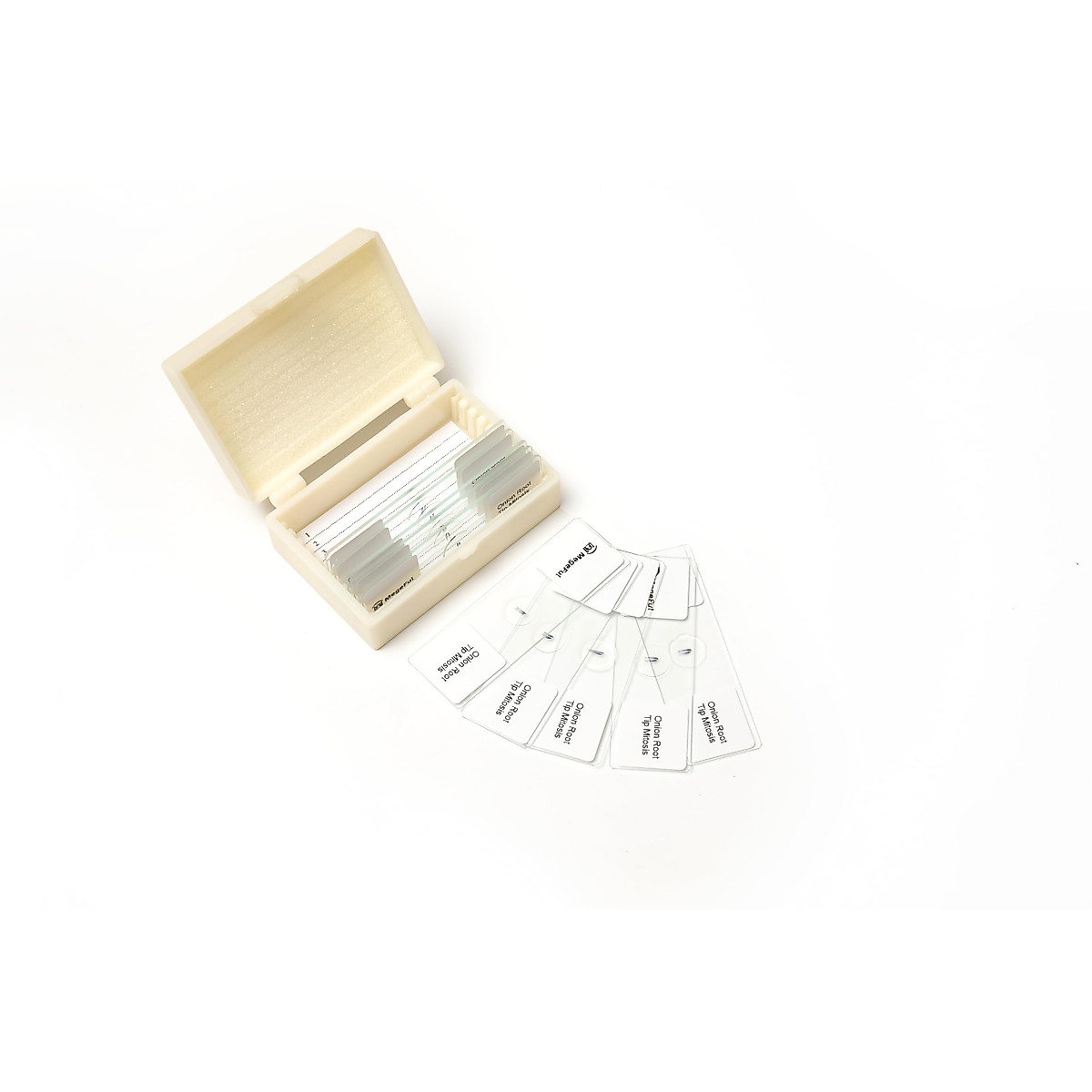 Onion Root Tips Cell Mitosis Microscope Slides, 10PCS College Level Plant Mitosis Slides for Genetics Biology Science Class