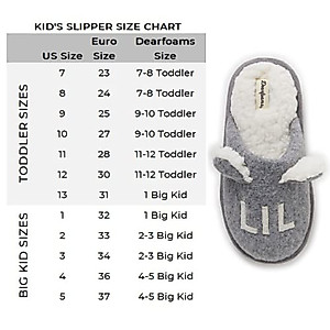Dearfoams Easter Basket Stuffers Gifts for Kids Toddler Baby Slipper, Light Grey Lil Bear, 1 US Unisex big