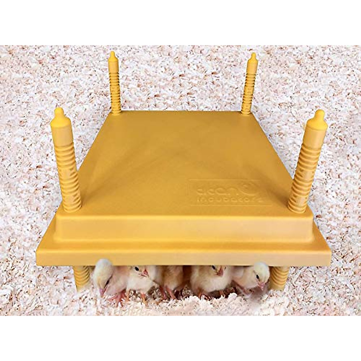 Titan Incubators Chick Heating Plate/Brooder Hen – Heat Lamp Replacement - Up to 25 Chicks – 12” x 12”