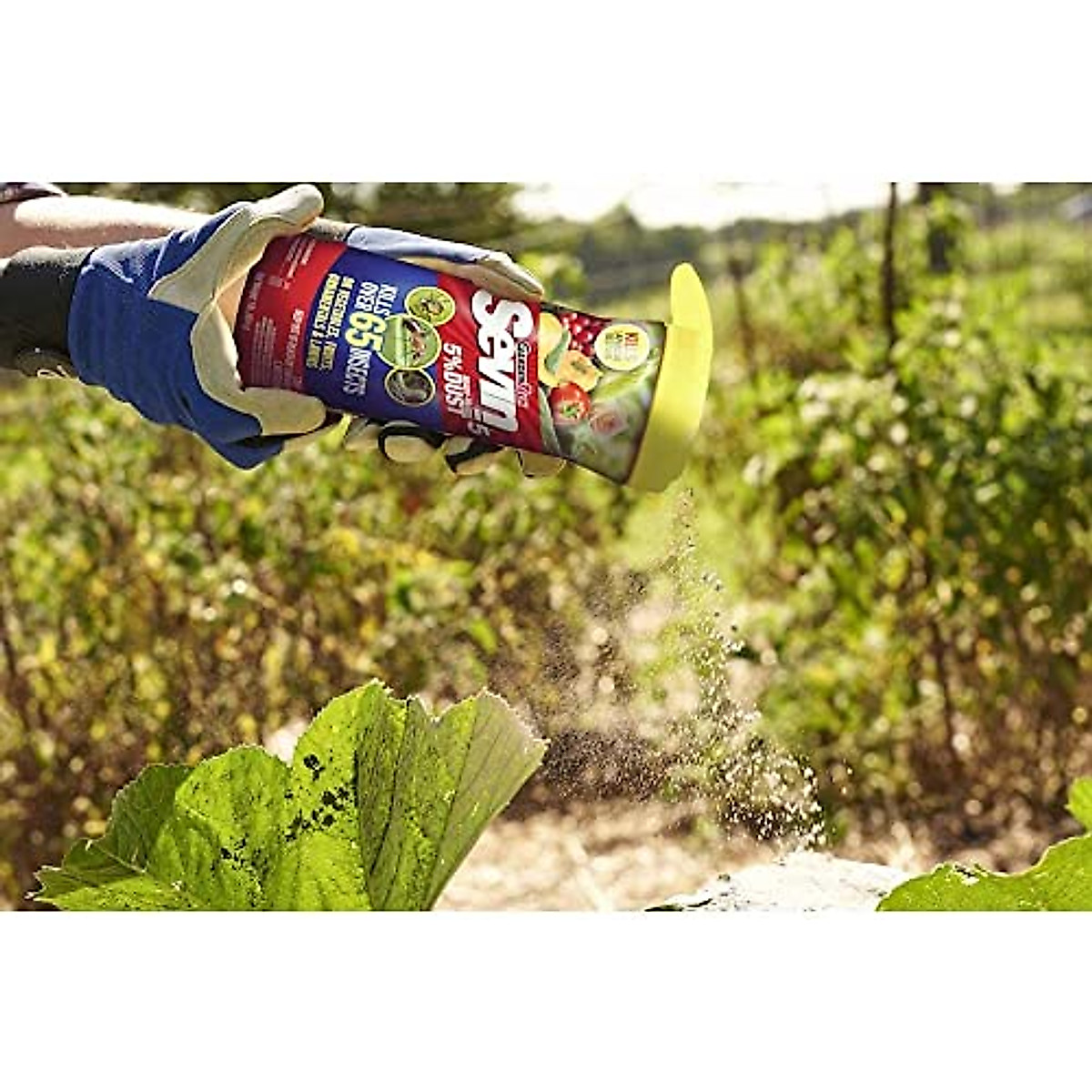 Garden Tech Dust Bug Killer Multiple Insects Rtu Carbaryl 1 Lb. (Pack of 2)