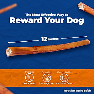 Raw Dog Bully Sticks All-Natural Dog Treats,12IN Regular Size, 1pk - Premium Odor Free Dog Chews, 100% Beef, Grass Fed, Non-GMO