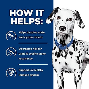 Hill's Prescription Diet u/d Urinary Care Chicken Flavor Wet Dog Food, Veterinary Diet, 13 oz. Cans, 12-Pack