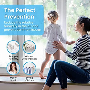 Pro Breeze Dehumidifiers for Home,225sqft Small Dehumidifiers for Room,16oz Tank Portable Closet Dehumidifier Removes Humidity Mini Small Dehumidifier for Bathroom Dehumidifier for Bedroom RV Basement