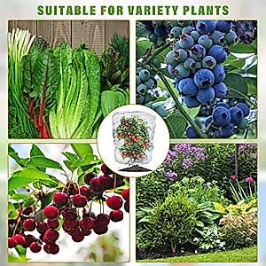 SATOCVAY Insect Bird Barrier Netting, 6 PCS Netting for Garden Protection with Drawstring, Plant and Fruit Tree Netting Barrier Bags, Durable Plant Cover for Plant, Fruit, Flower, Vegetable