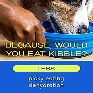 Native Pet, Dogs & Cat Broth Bundle | Chicken & Beef Flavored | Dog Food Topper for Picky Eater | Dog Gravy & Dog Bone Broth Powder