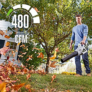 EGO Power+ LB4800 480 CFM 3-Speed Turbo 56-Volt Lithium-Ion Cordless Electric Blower - Battery and Charger Not Included , Black