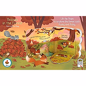 Babies in the Forest- A Lift-a-Flap Board Book for Babies and Toddlers, Ages 1-4 (Chunky Lift-A-Flap Board Book)