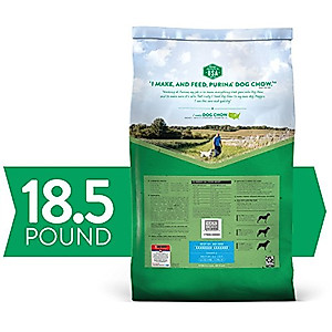 Purina Dog Chow Complete With Real Chicken Adult Dry Dog Food - 18.5 Lb. Bag