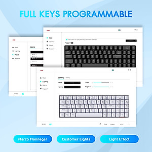 LexonElec 60% Wireless Mechanical Gaming Keyboard,2.4G/Bluetooth/Wired 69 Keys Compact Keyboard with Numpad,Hot Swappable Red Switch White Backlit Keyboard Programmable for Win/Mac (White)