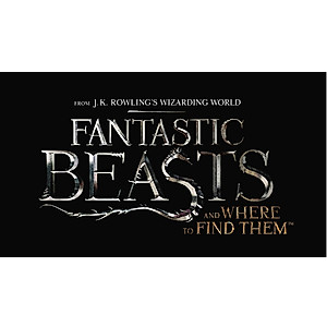 Fantastic Beasts and Where to Find Them (DVD)