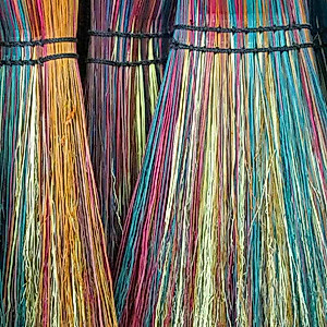 Gardening Treasures: 40 Ornamental Broom Corn Seeds