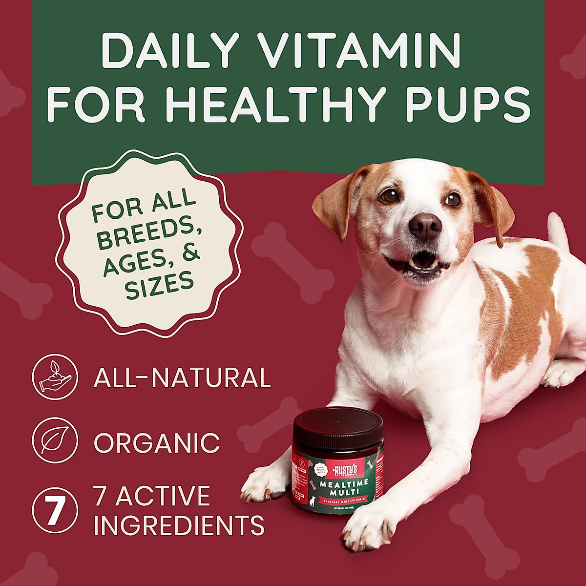 Premium Dog Multivitamin Supplement (170 Chews) - Mealtime Multi - with CoQ10 - Probiotics - Pumpkin - Immune Support - Promotes Better Joint Mobility - Healthy Skin & Coat - Made in The USA