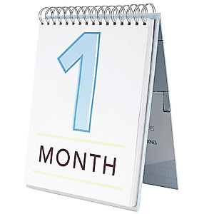 C.R. Gibson Wild Animals My First Year Milestone Book for Baby Boys by DwellStudio, 8.5'' W x 10.75'' H