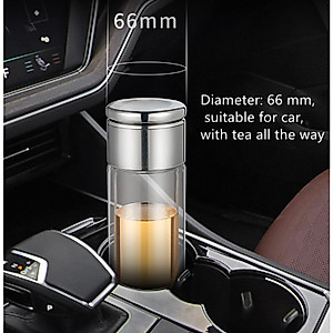 LeYin double wall glass water bottle, travel cup with filter screen, tea and water separation cup for fruit loose leaf tea and cold brewing coffee (silver)