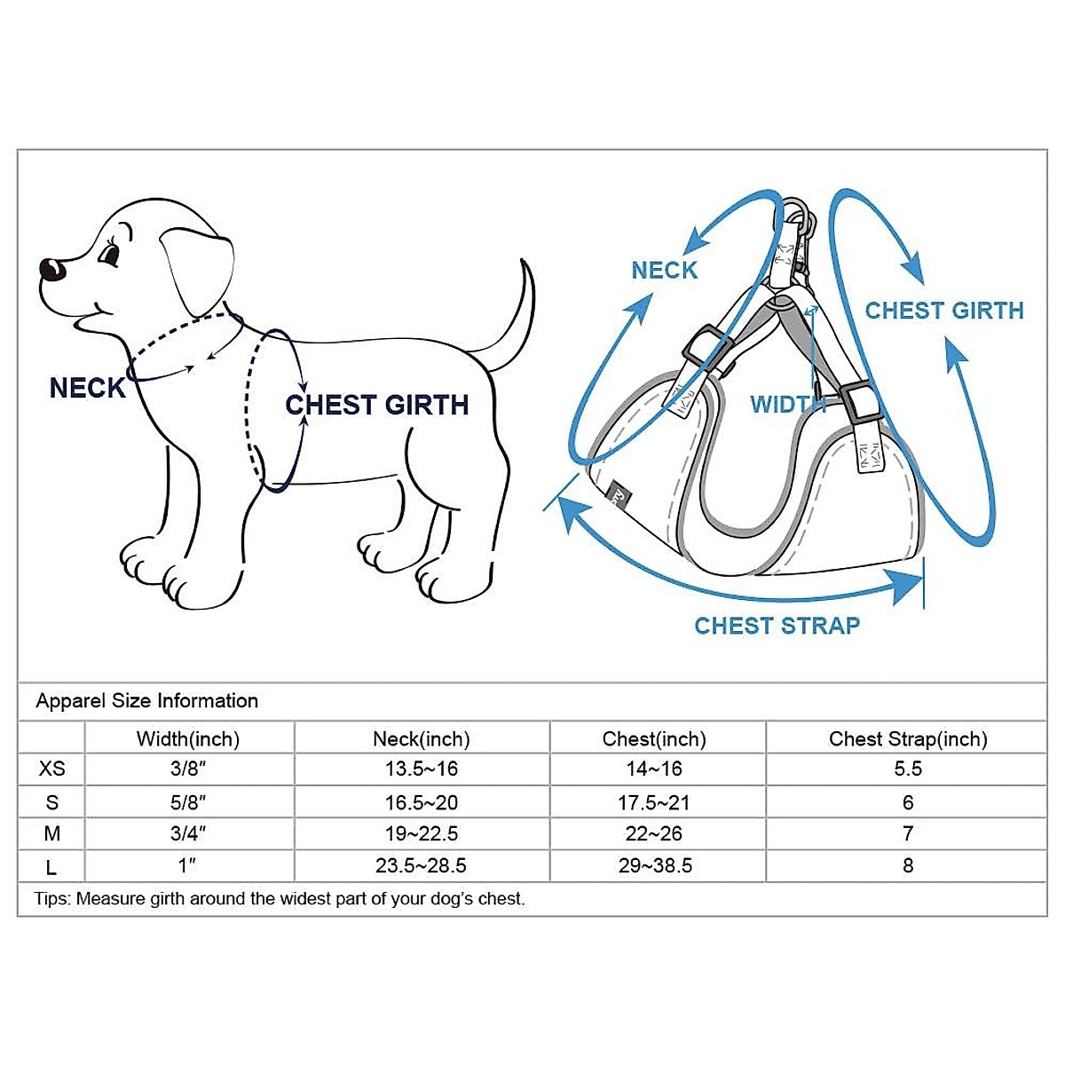 Blueberry Pet Essentials Reflective Better Basics Matching Dog Collar Leash Harness Set in French Blue, Adjustable Collar with Harness & 5 ft Leash for Medium Dogs