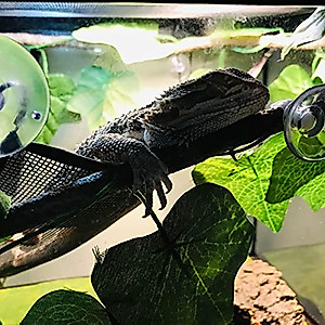 2 Pcs Bearded Dragon Lizard Hammock, Geckos Hammock, Breathable Mesh Reptile Hammock, Suitable for Iguanas, Anoles, Geckos, Snakes, Chameleon