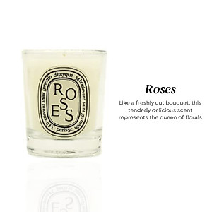 Diptyque Set of 5 35g Small Scented Candles Limited Edition Holiday Gift Set:: Baies / Berries, Roses, Figuier / Fig Tree, Ambre / Amber and Tubéreuse / Tuberose
