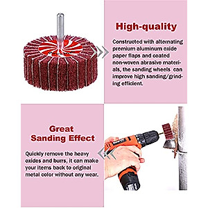 14 Pack Rocaris Buffing Flap Wheels - 7 Size Flap Disk - 1/4 Inch Shanks Fit All Drills - 80 Grits