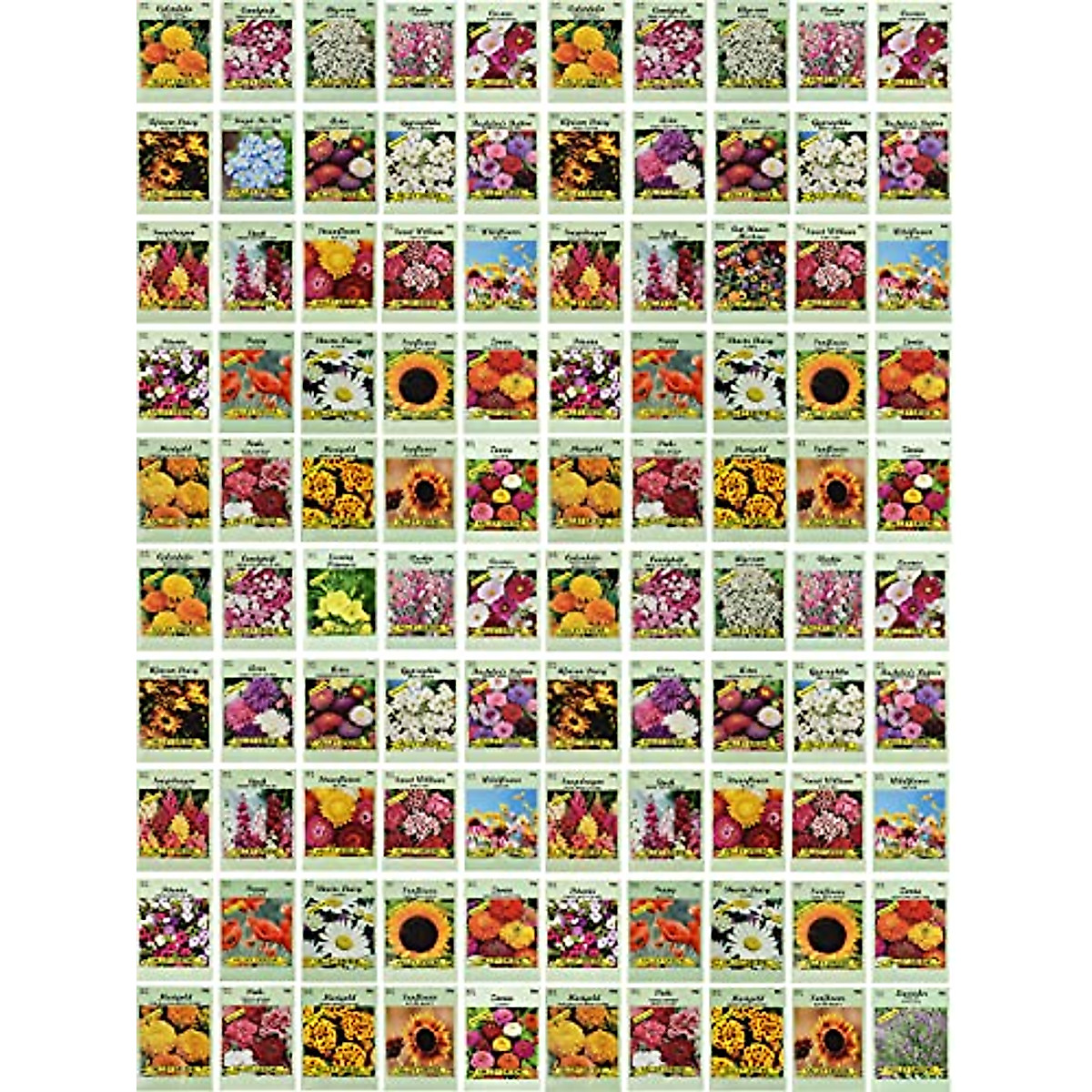 Set of 100 Assorted Valley Green Flower Seed Packets! Flower Seeds in Bulk - 20+ Varieties Included