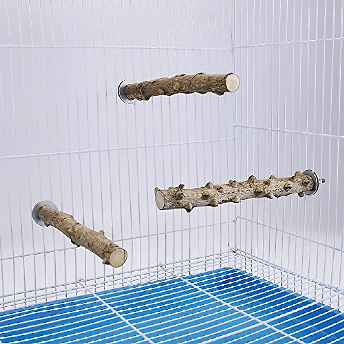 Mogoko Natural Wood Bird Perch Stand, Hanging Multi Branch Perch for Parrots, Parakeets Cockatiels, Conures, Macaws, Love Birds, Finches (Style 4)