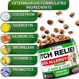 (2 Pack) Dog Allergy Chews - Itch Relief for Dogs - Dog Allergy Relief - Anti Itch for Dogs - Dog Itchy Skin - Dog Allergy Support - Immune Health Supplement - Made in USA - 240 Treats
