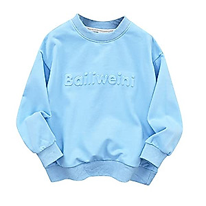 Infant Toddler Baby Boy Girl Sweatshirt Pullover Hooded Pocket Warm Casual Cold Weather Sweatshirt Newborn Sweatshirts Blue