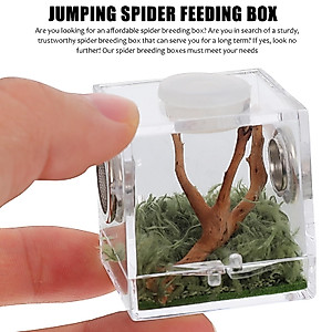 VILLCASE Glass Containers Spider Terrarium, Acrylic Reptile Breeding Box Jumping Spider Enclosure with Dropper Tongs for Tarantula Scorpion Sling Snake Gecko Amphibia