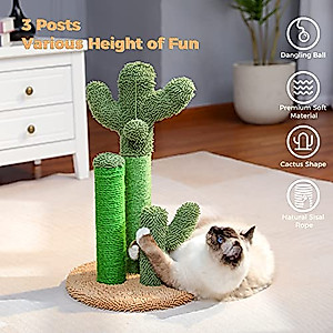 PAWZ Road Cat Scratching Post Cactus Cat Scratcher Featuring with 3 Scratching Poles and Interactive Dangling Ball -Medium 23 Inches