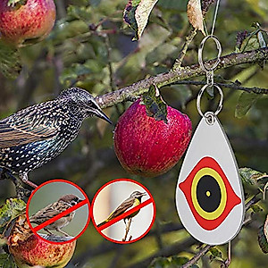 Yoidesu Bird Repellent 5Pcs Eye Design Reflective Decoy for Protecting Vegetable Fruit Trees