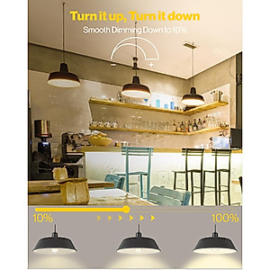 Sunco 4 Pack Vintage LED Edison Bulbs, 75W Equivalent 8.5W, 1000 LM, Dimmable ST58 Filament, 3000K Warm White, E26 Medium Base Clear Glass Light Bulbs