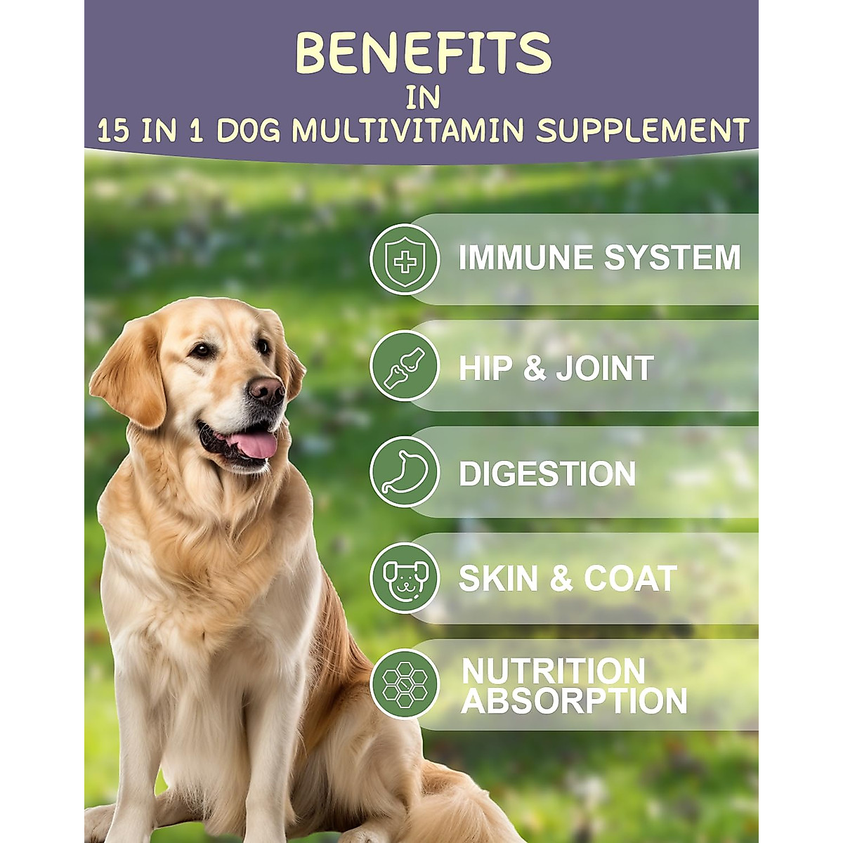 15 in 1 Dog Multivitamin Supplement - Dog Vitamins for Immune System, Digestion, Hip & Joint, Skin & Coat - Multivitamin Chews for Dog with Glucosamine & Chondroitin - Chicken Flavor, 120 Chews