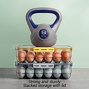 Clear Egg Tray Storage Box,Egg Holder With Lid And Special Buckle,Stackable PET Plastic Refrigerator Organizer Bins,Grey-24pieces