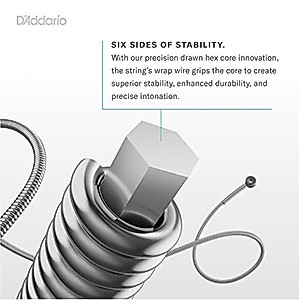 D'Addario Guitar Strings - Phosphor Bronze Acoustic Guitar Strings - EJ16-3D - Rich, Full Tonal Spectrum - For 6 String Guitars - 12-53 Light, 3-Pack