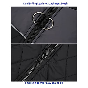 Fleece Lining Warm Dog Coats Padded Vest with D Ring Waterproof Reflective Puppy Jacket for Small Medium Large Dog Winter Coat Clothes Zip Up Apparel for Cold Weather (XL, Blue)