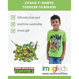 Teenage Mutant Ninja Turtles Leonardo Michelangelo Raphael Little Boys 3 Pack T-Shirts White/Gray/Green 7-8