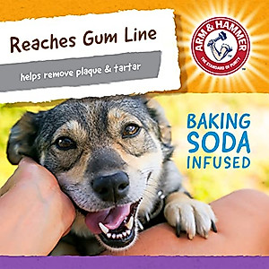 Arm & Hammer for Pets Nubbies Orion Dog Dental Toy| Best Dog Chew Toy for Moderate Chewers | Dog Dental Toy Helps Reduce Plaque & Tartar Without Brushing (Pack of 1)