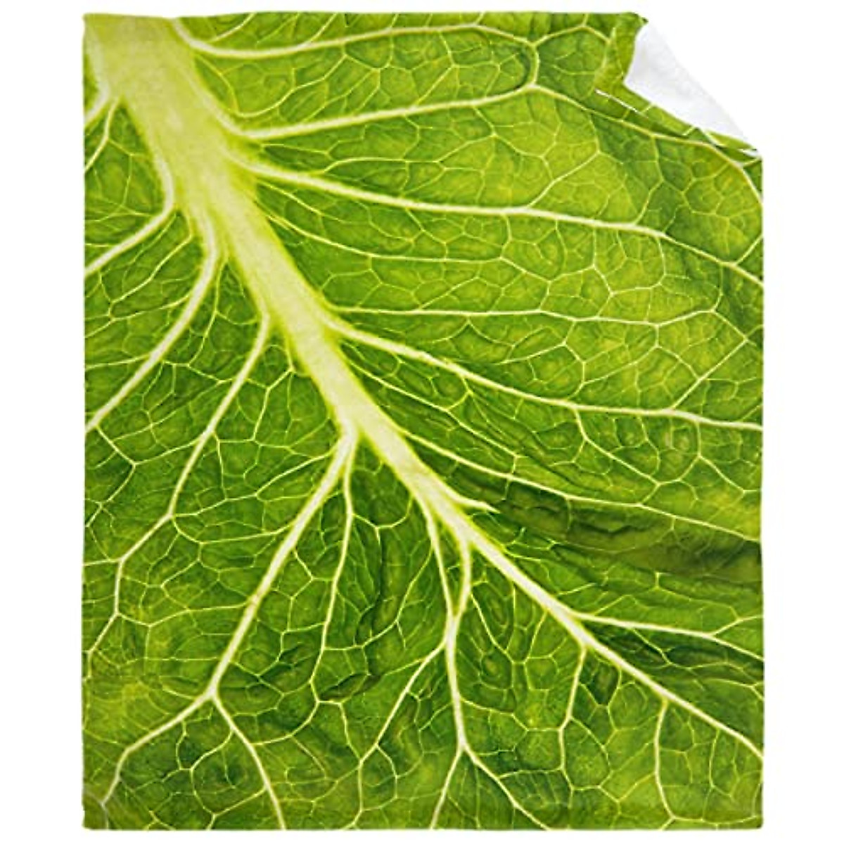 RICKYOUNG Lettuce Flannel Lightweight Blankets Quilt Plush Fleece Soft Bedding Throw Blanket for Couch and Bed 80"x60" for Adult