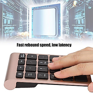 Pomya Bluetooth Number Pad, Numeric keypad,Portable 22Keys Numeric Keyboard,USB 2.4G Mini Keyboard for Laptop Desktop, PC, Pro,Notebook