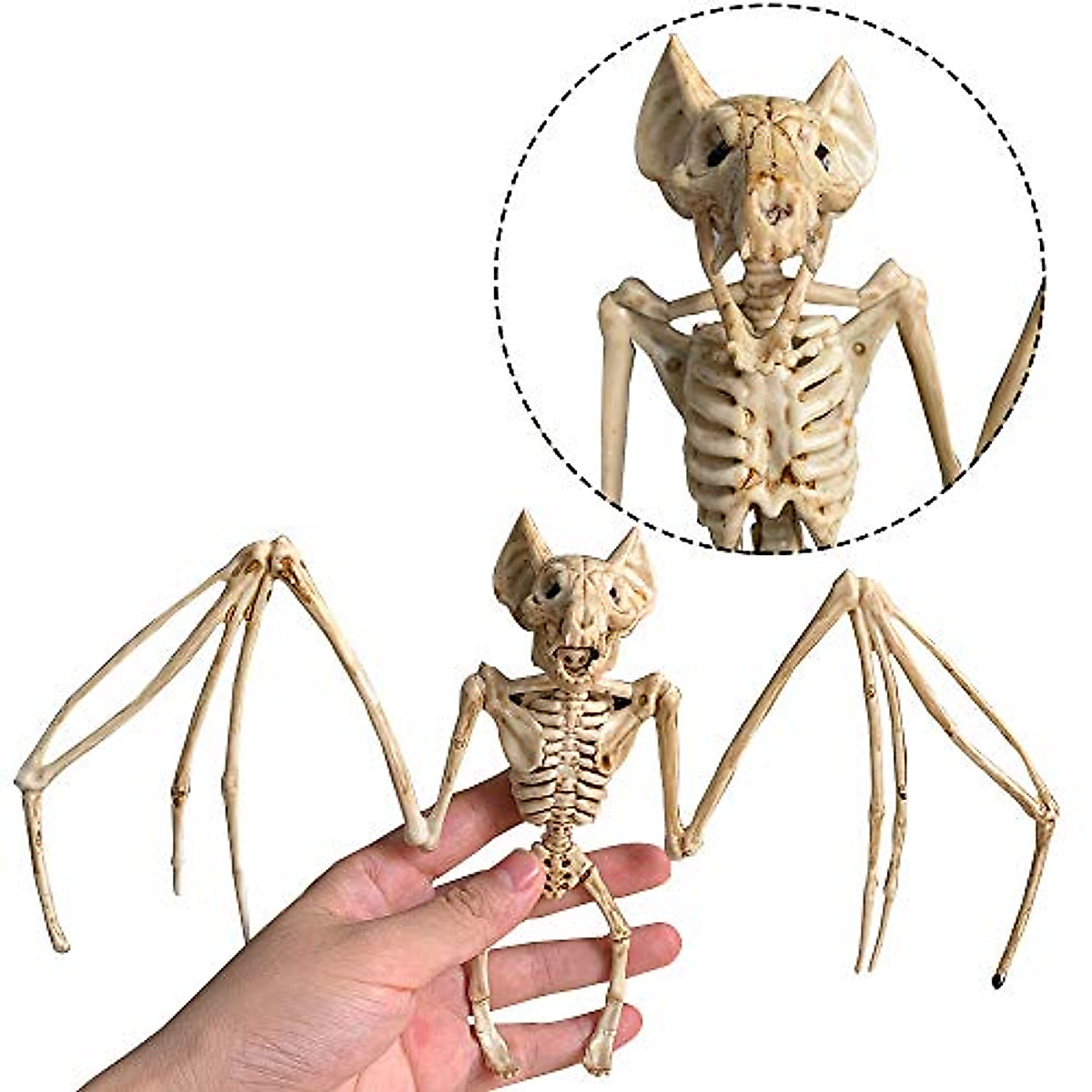 Halloween Animal Skeleton Decration Horrible Bat Skeleton Simulation Bat Model Vivid Bat Bone Yard Decorations w Hangable Feet and Movable Jaws