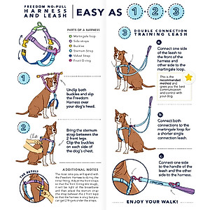 2 Hounds Design Freedom No Pull Dog Harness | Comfortable Control for Easy Walking |Adjustable Dog Harness and Leash Set | Small, Medium & Large Dogs | Made in USA | Solid Colors | 1" LG Black