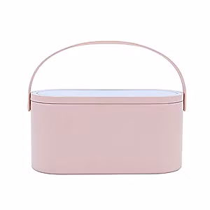 AMYESE 2025 Makeup Case with Mirror, Portable Cosmetics Box with LED Lighted Mirror for Bedroom, Travel, Multi-purpose Makeup Organizer Carrying Storage Case, Travel Size, Gift for Mom Ladies Girls