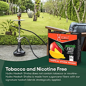 Hydro Hookah Flavors Shisha Strawberry, Mango, Peach, Grape, Melon, Coconut, Guava, Chocolate Mint, Lemon Mint, Jamaican Mint, Watermelon Mint Flavors & More, 50-Gram Packs (Pack of 12)