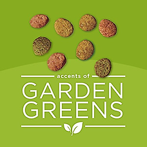 Purina Cat Chow Hairball, Healthy Weight, Indoor Dry Cat Food, Indoor - 16 lb. Bag