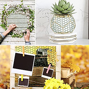 Aboofx Green Chicken Wire Netting, 118 x 15.7 in Chicken Wire for Foral Arrangements, Garden Poultry Chicken Wire Mesh, Hexagonal PVC Coated Galvanized Iron Wire, with 50 Zip Ties and 1 Pair of Glove