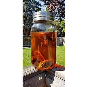 Market Spice Cinnamon Orange Loose Leaf Tea, 8 oz. Package With Brewing And Storage Instructions. (Cinnamon-Orange 8 oz.)