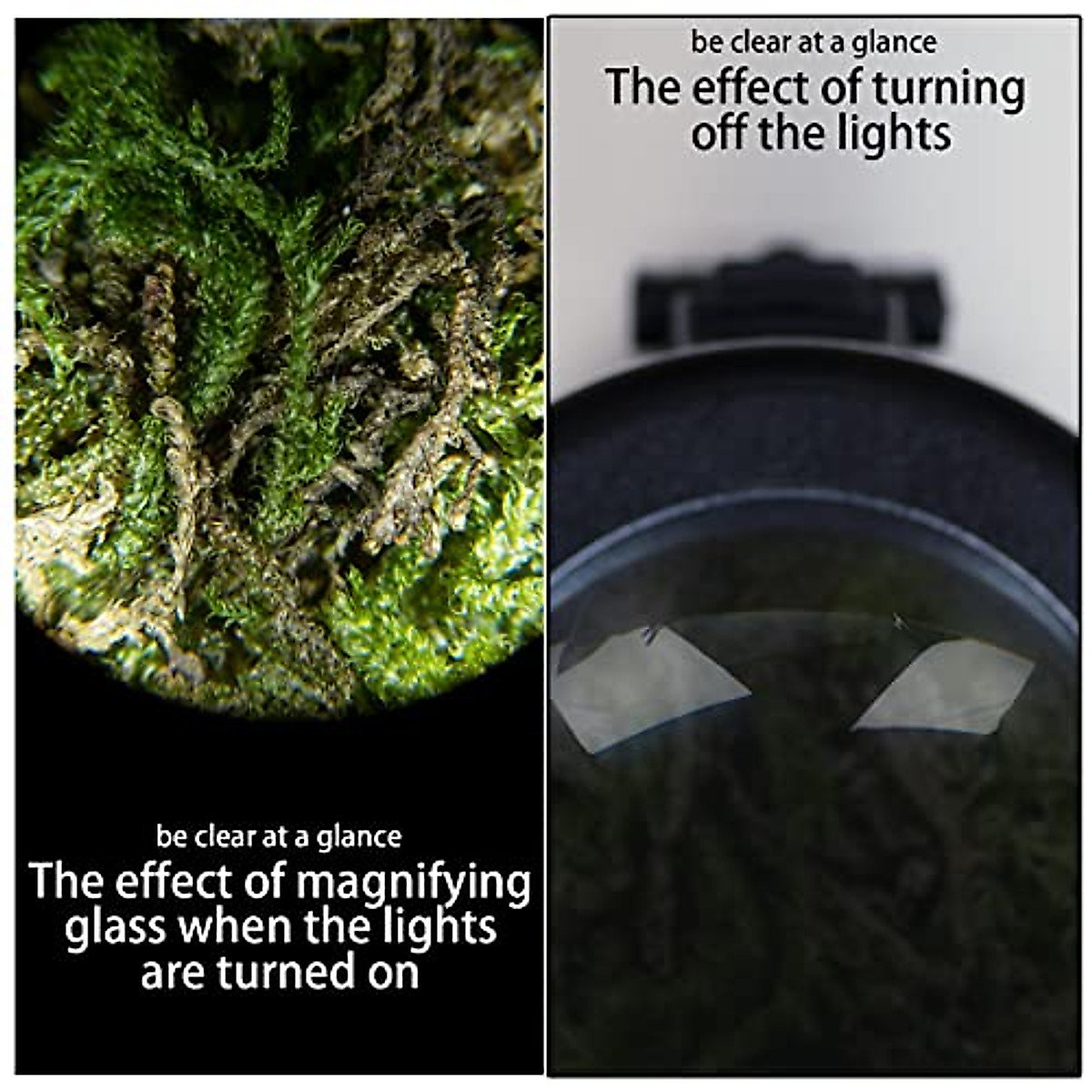 Jars Light-Up LED Transparent Glass Air Tight Storage Jars with Magnifying Viewing Jar Portable Mini Lightweight for Easy Storage and Carrying (Black)