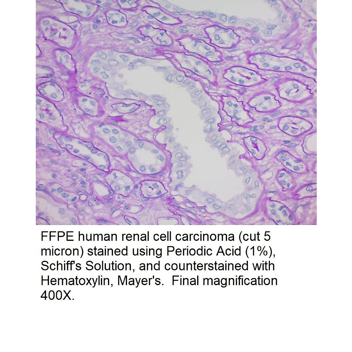 Schiff's Solution, 500ml