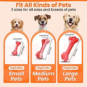 NEXA MALL-Dog Chews-Dog Chew Toys for Aggressive Chewers-Large Dog Chew Toys-Dog Bone Toy-Rubber Chew Toys for Dogs-Hard Rubber Dog Toys-Rubber Dog Bone. (Medium Size), red