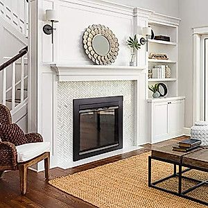 Pleasant Hearth Alsip Sunlight Nickel Glass Firescreen Door | Small